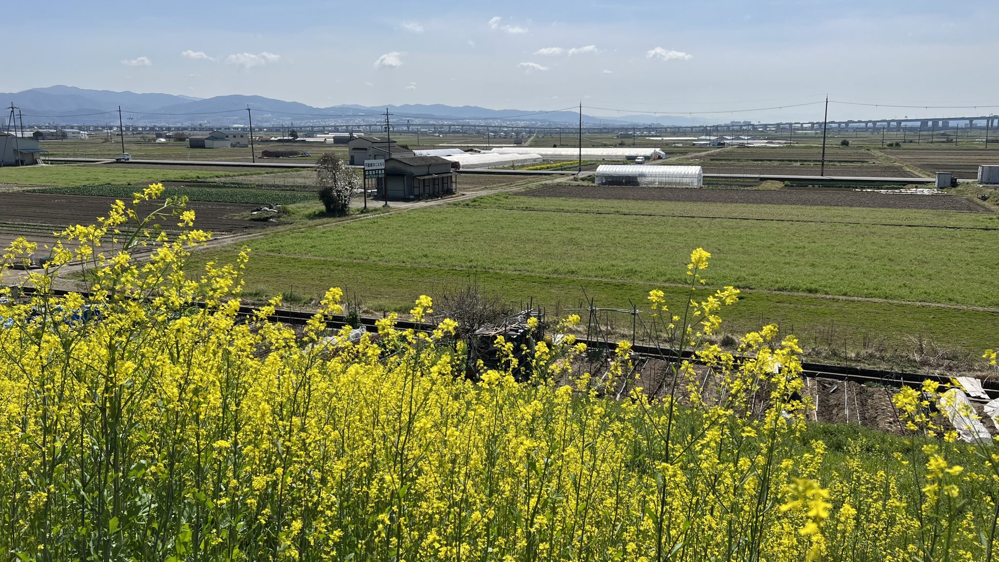 伏見ってどんなところ？ - 住むまち伏見